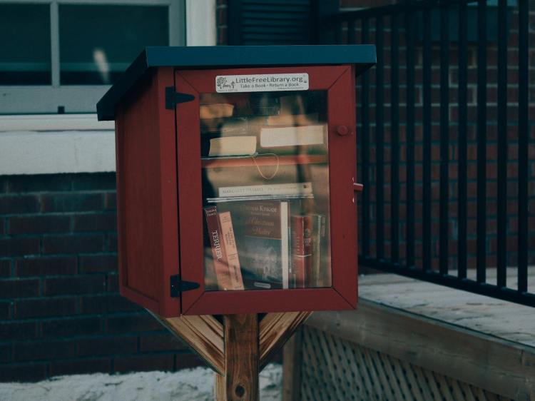 Strategies for Increasing Book Access in Underserved Communities ...